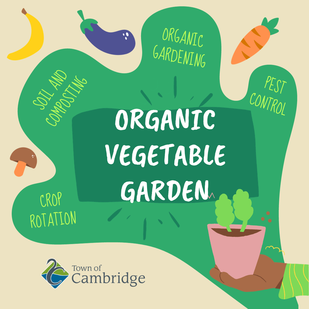 Organic Vegetable Gardening