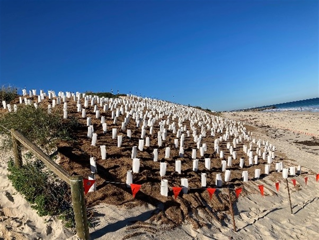 Foreshore Management Plan