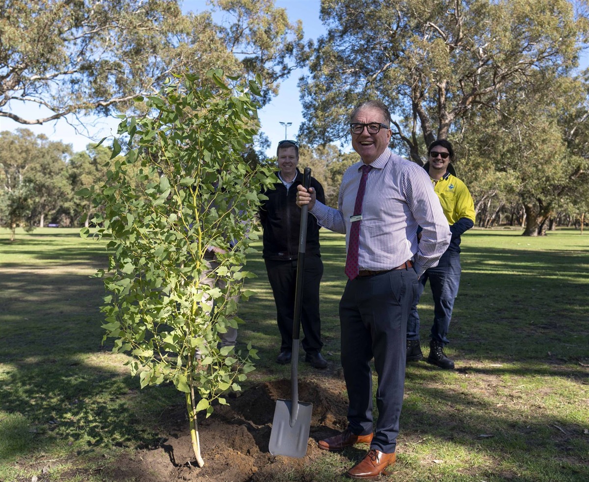 Town of Cambridge Boosts Urban Canopy with Tree Planting Initiative