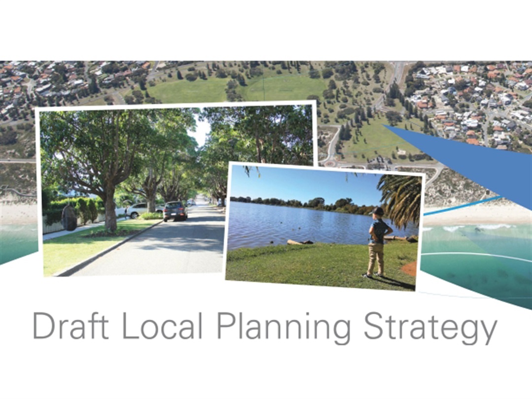 Local Planning Strategy