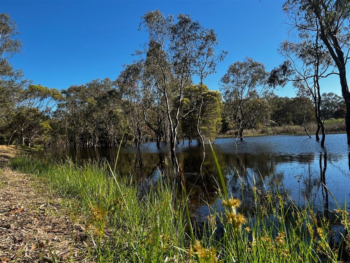 Friends of Perry Lakes