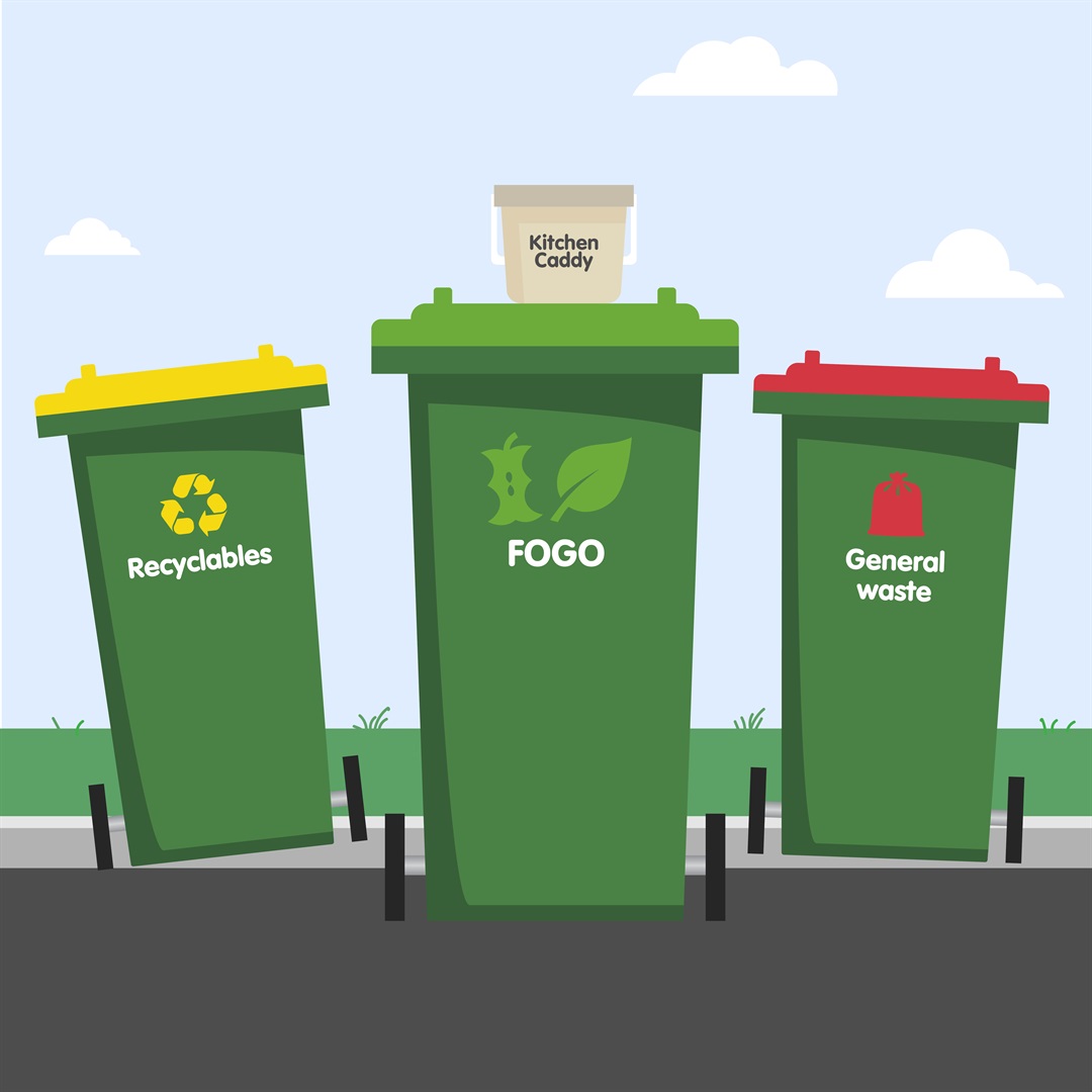 bin collection 2023
